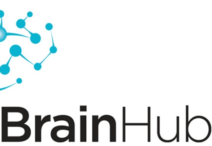 Brain hub with key role in learned response to threats identified